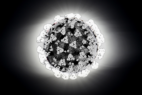 TSE 2020 Total Solar Eclipse December 14 2020 Las Grutas Rio Negro ...